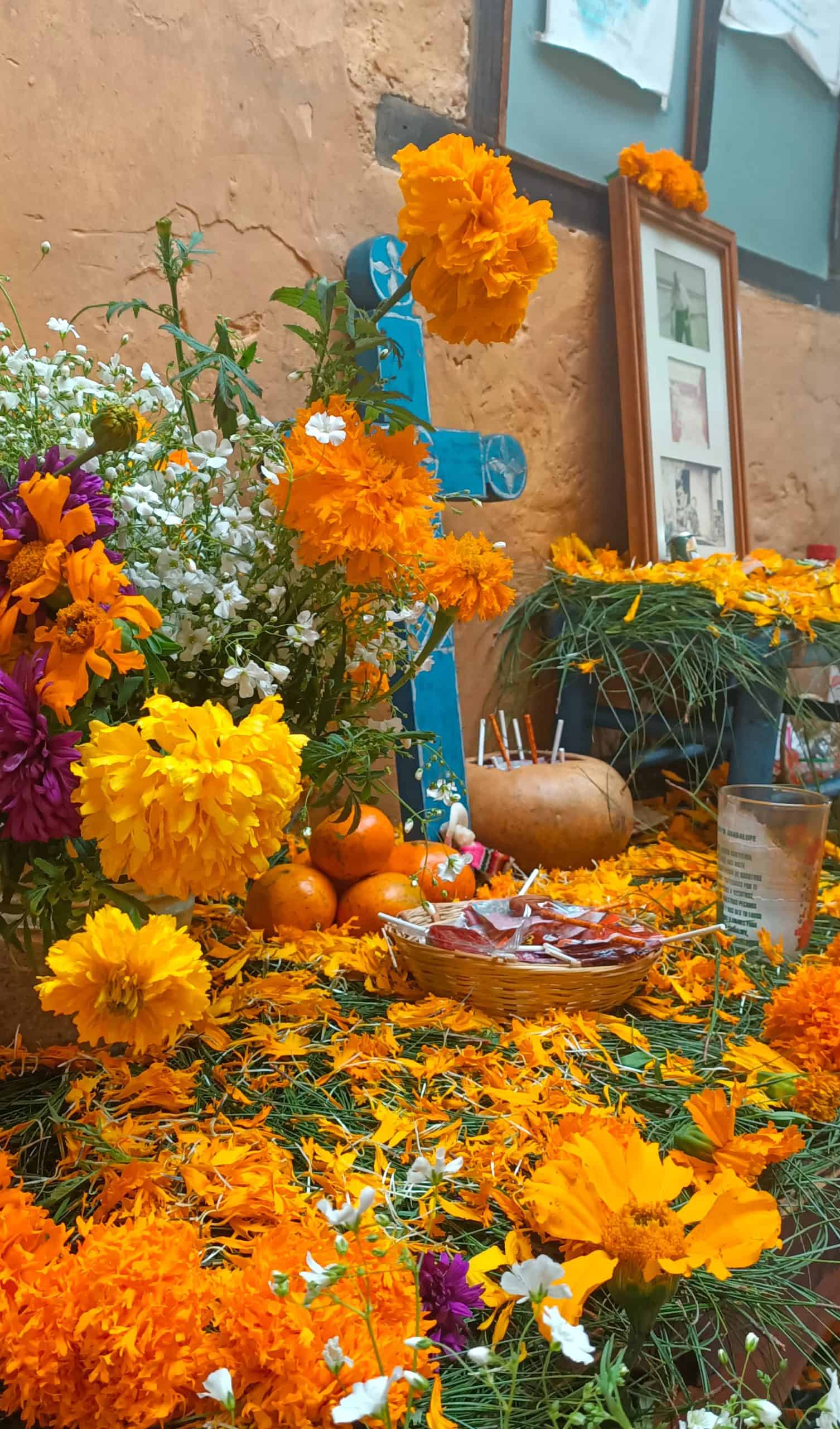 Día de Los Muertos e Cempasúchil: il Fiore Sacro che Guida i Morti ...